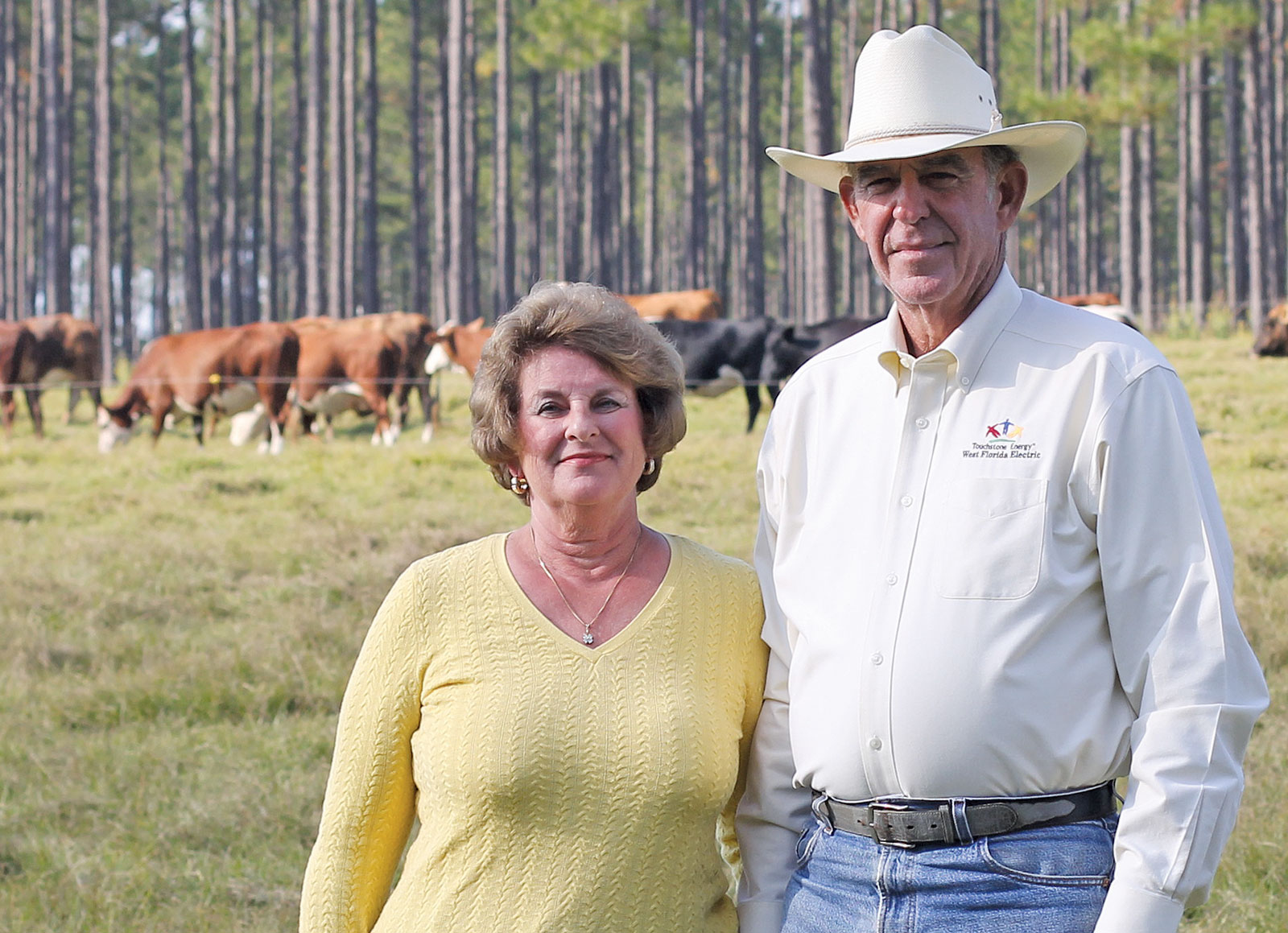 Timber, Cattle and A Century of Care- the Legacy of George Clayton ...